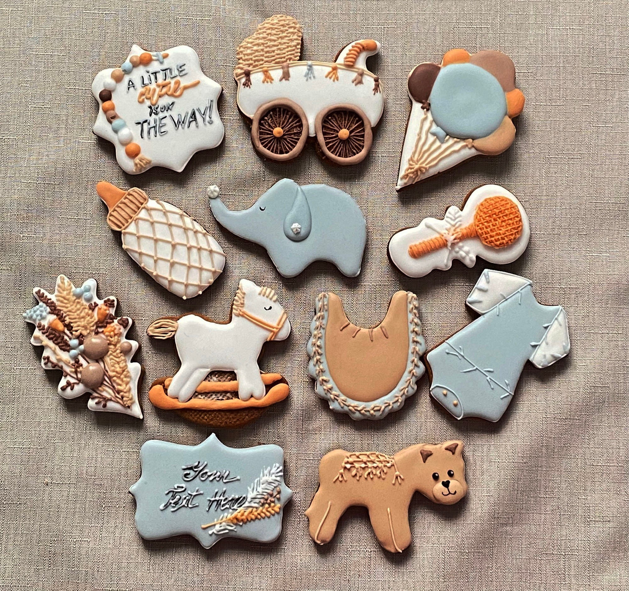 Baby Shower Cookies 1 Dozen Baby Boy Cookies Pastel Blue-sand Neutral ...