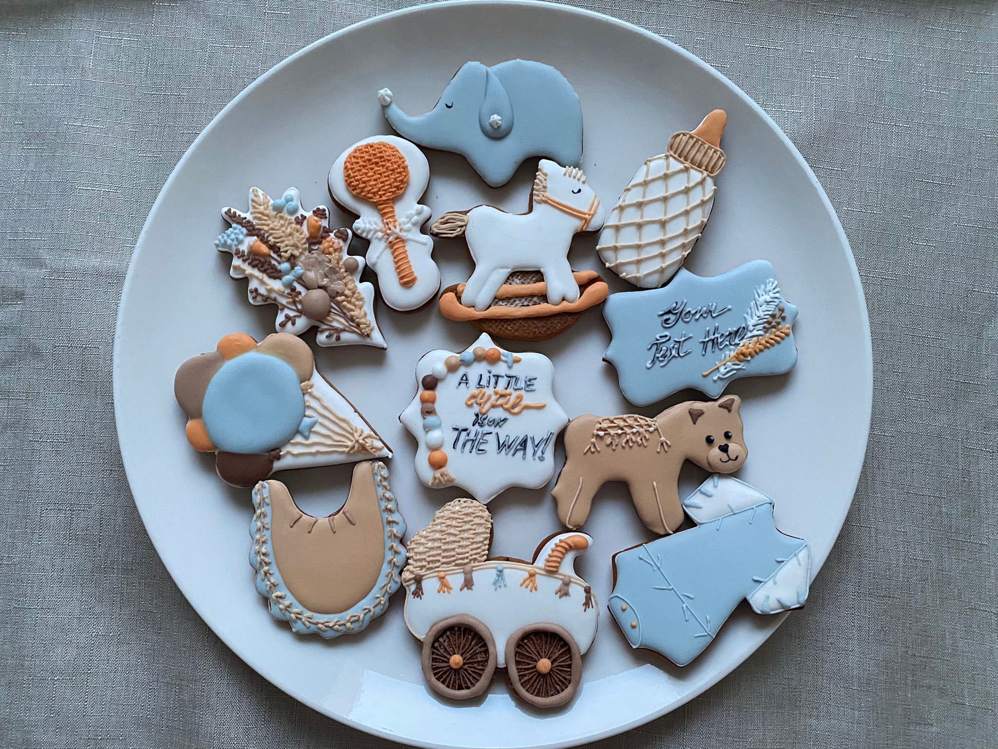 Baby Shower Cookies 1 Dozen Baby Boy Cookies Pastel Blue-sand Neutral ...
