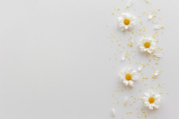 Daisy Themed Photography Backdrop Vinyl Photo Backdrop - Etsy