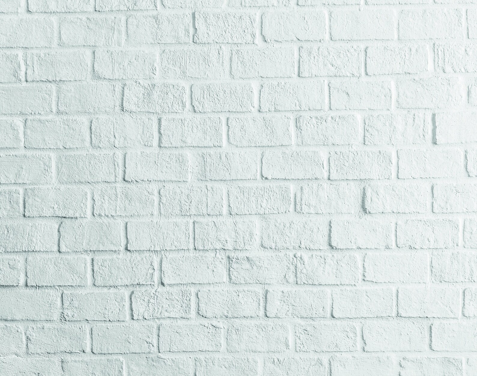 White Wall Photography Backdrop, Vinyl Photo Backdrop, Backdrop Boards ...