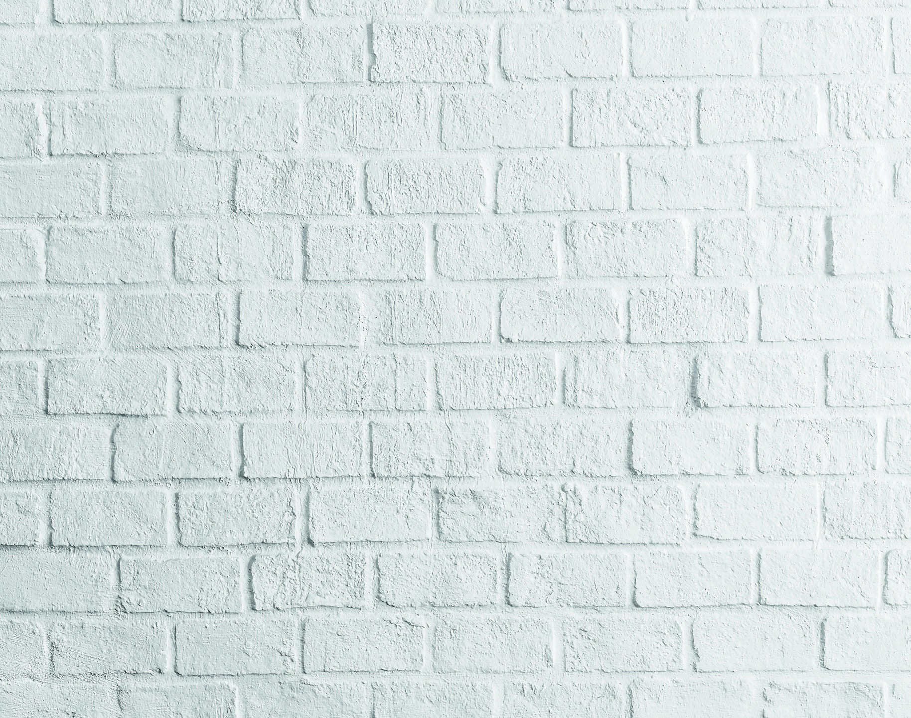 White Wall Photography Backdrop, Vinyl Photo Backdrop, Backdrop Boards ...