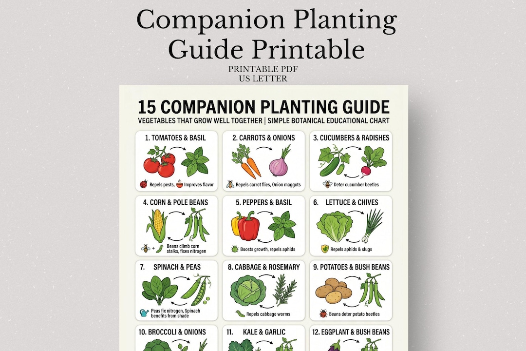 Companion Planting Guide, 15 Vegetable Pairings Chart (digital Download ...