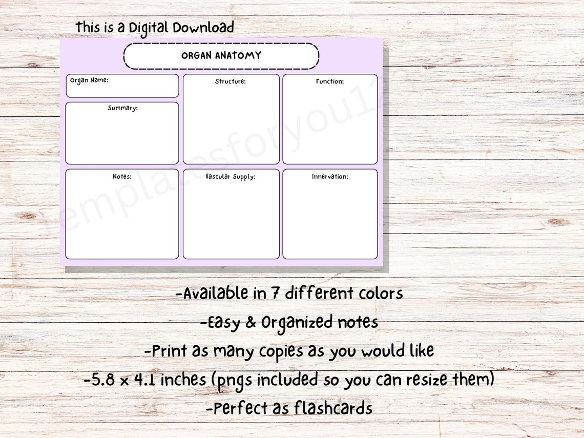 Organ Anatomy Notes Flashcard Template, Organ Anatomy Structure Notes ...
