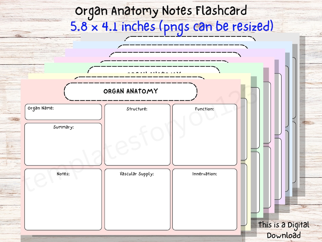 Organ Anatomy Flashcards at Edward Criss blog