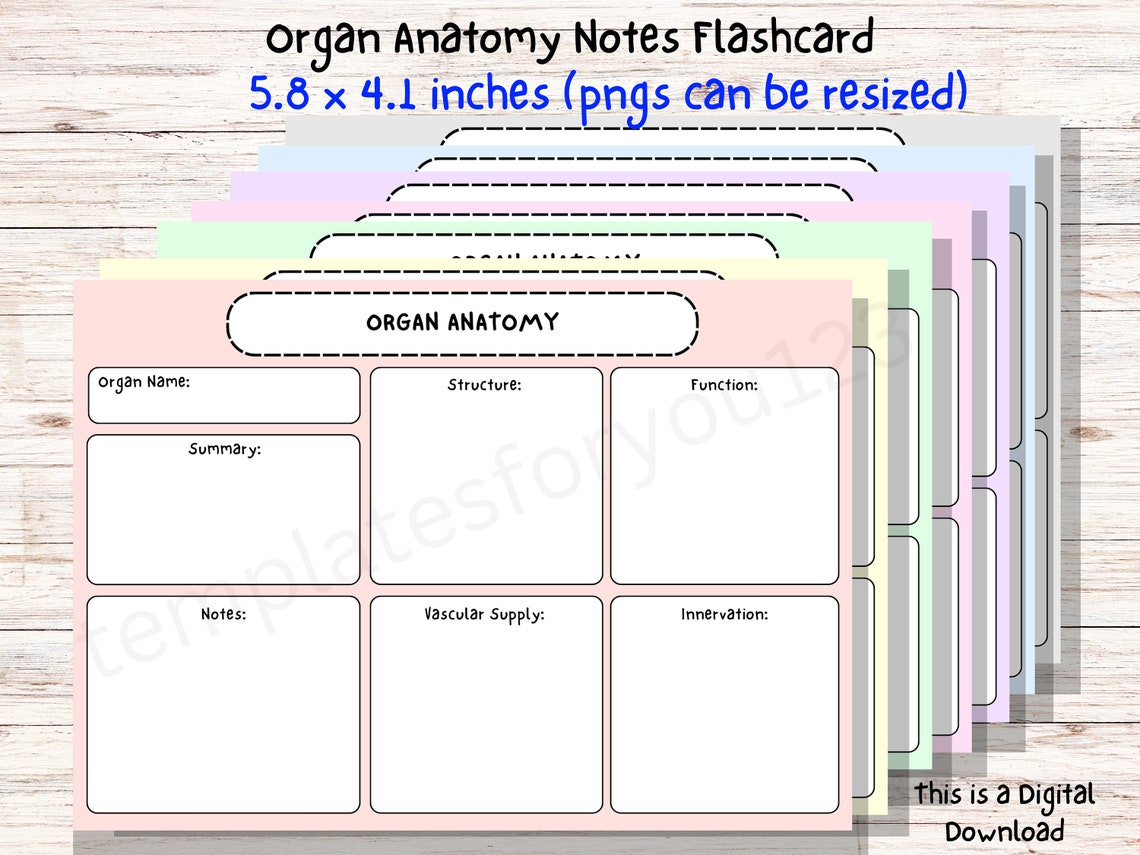 Organ Anatomy Notes Flashcard Template, Medical Study (digital Download ...