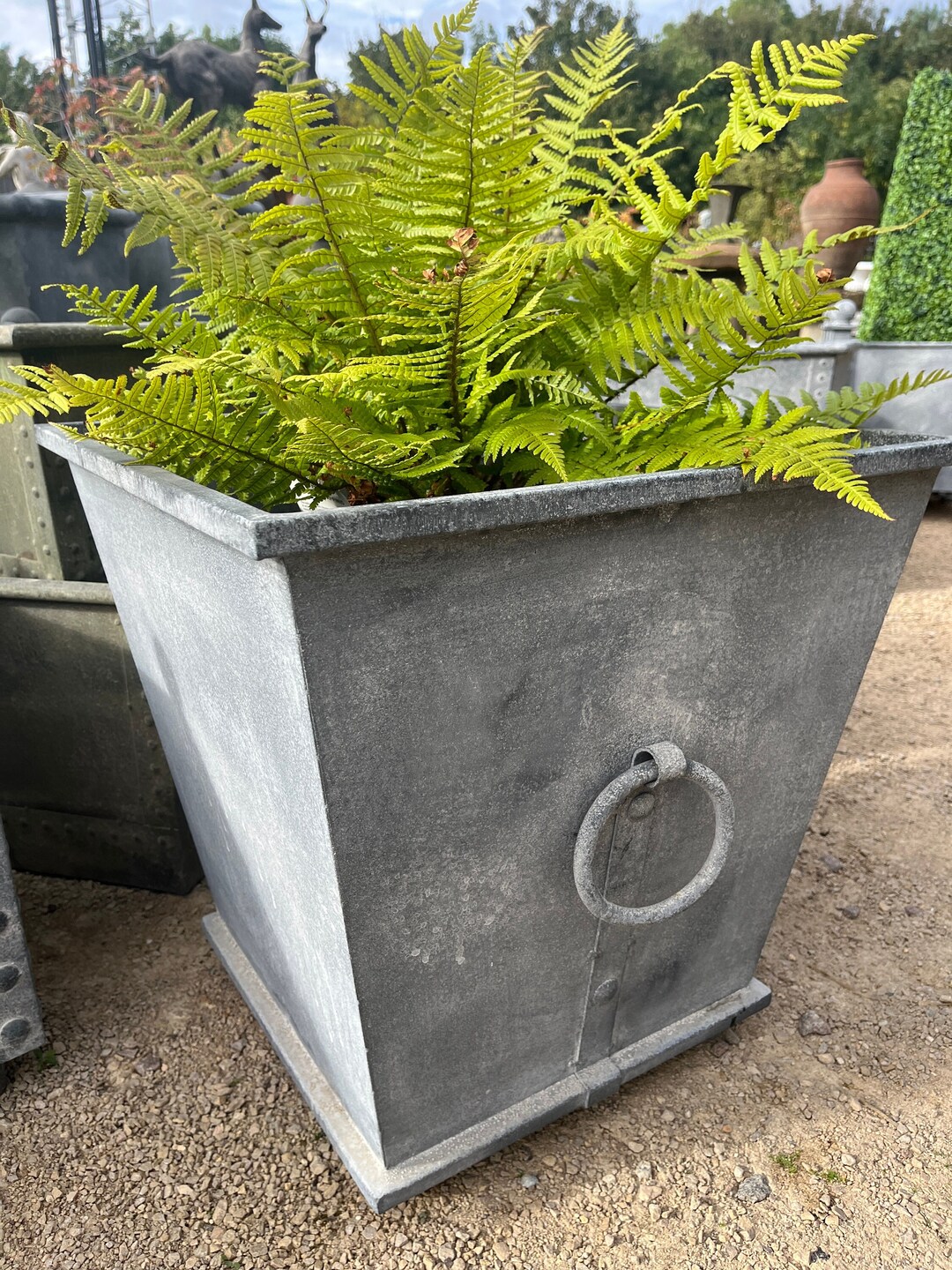 Galvanised Tapered Planter - Zinc Planters - Etsy