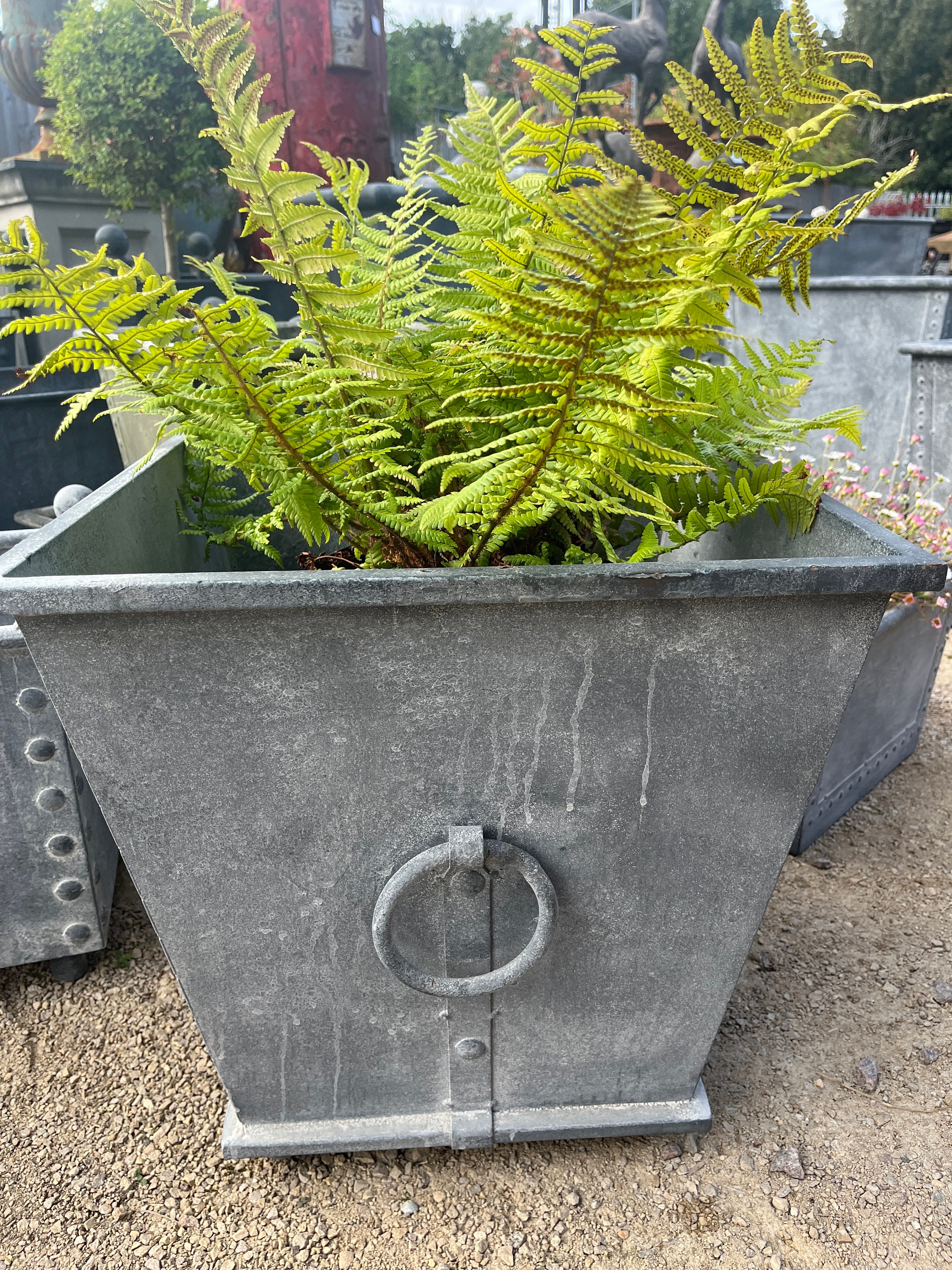 Galvanised Tapered Planter - Zinc Planters - Etsy UK