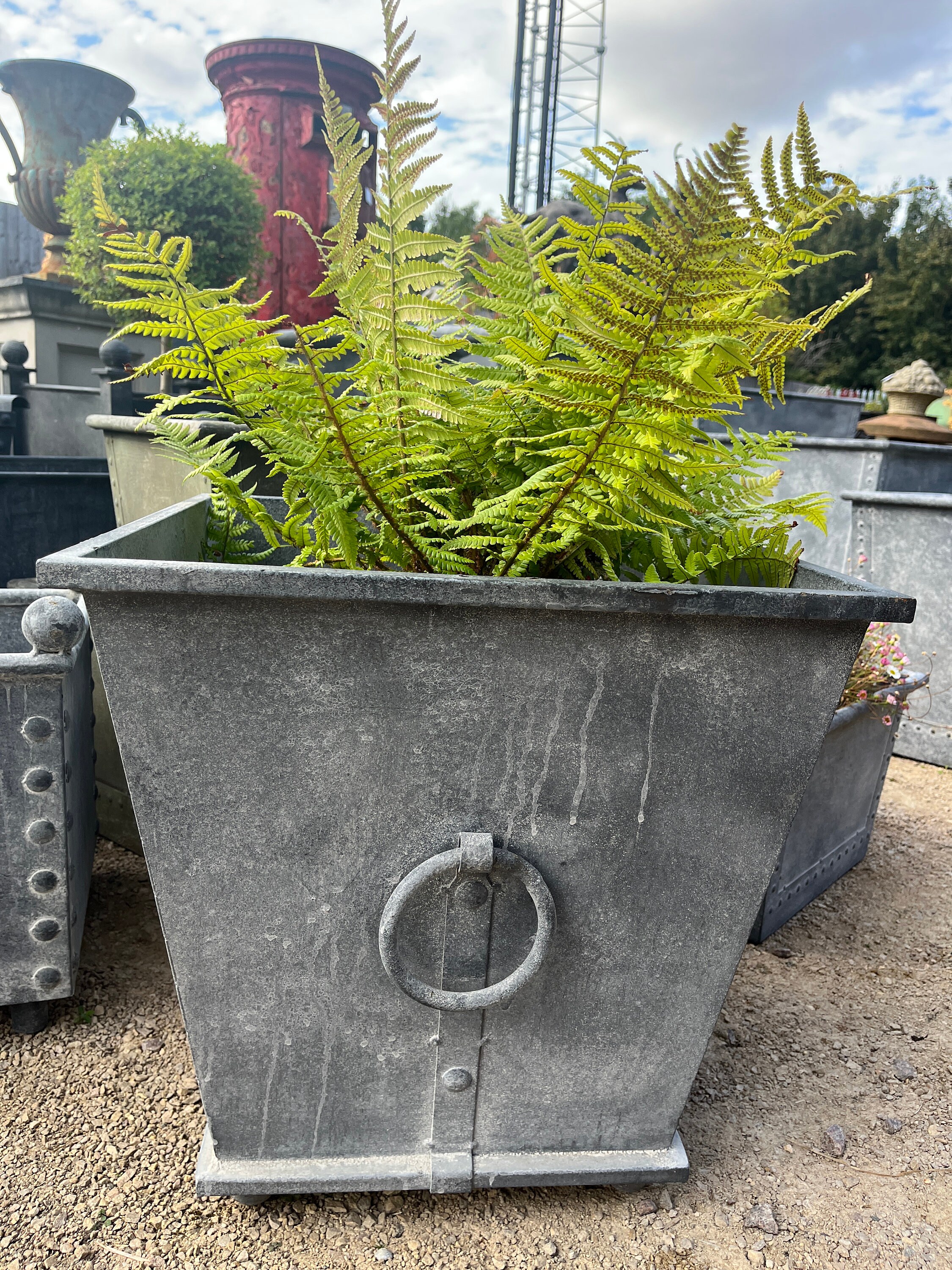 Galvanised Tapered Planter - Zinc Planters - Etsy UK
