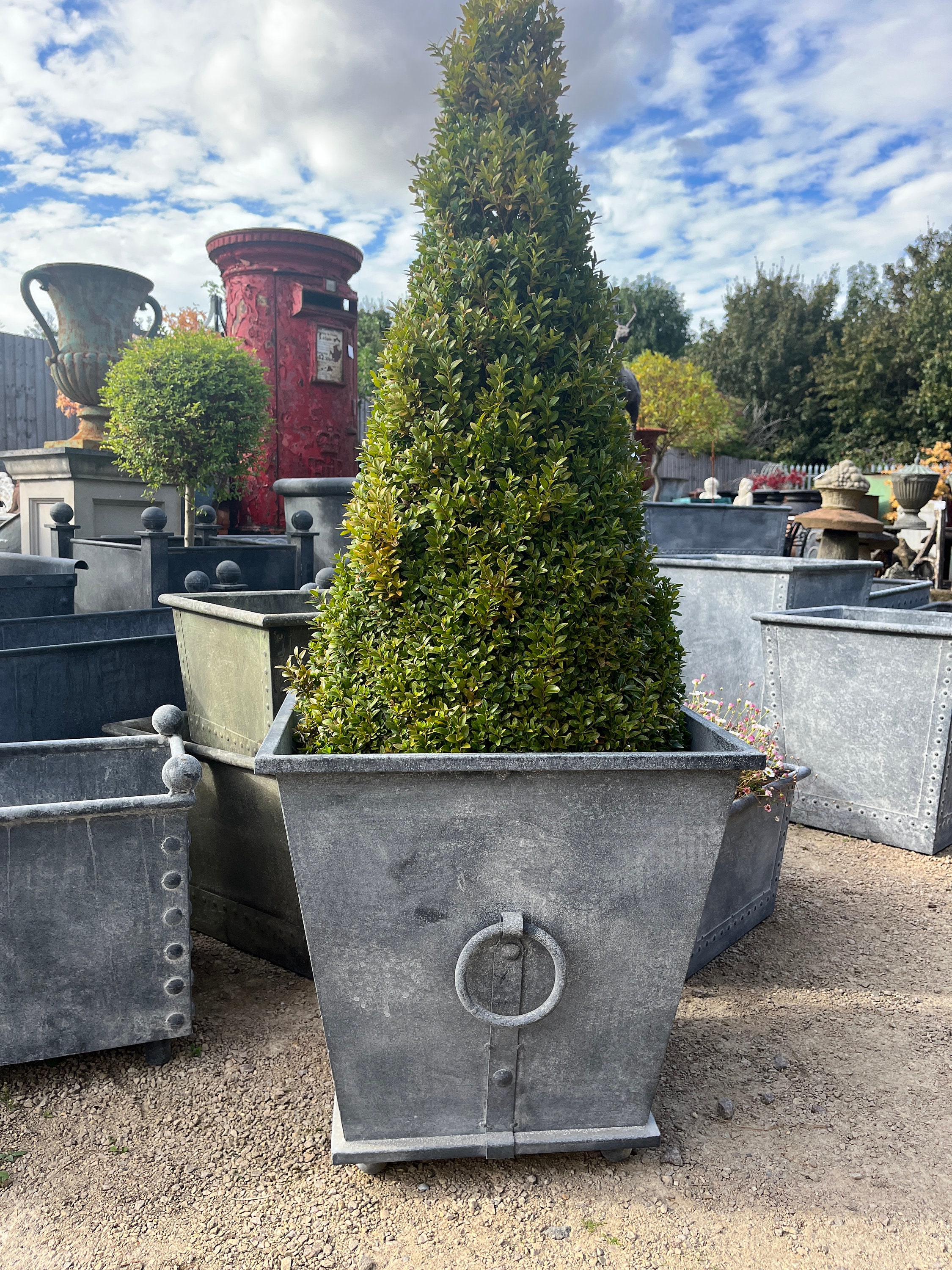 Galvanised Tapered Planter - Zinc Planters - Etsy UK