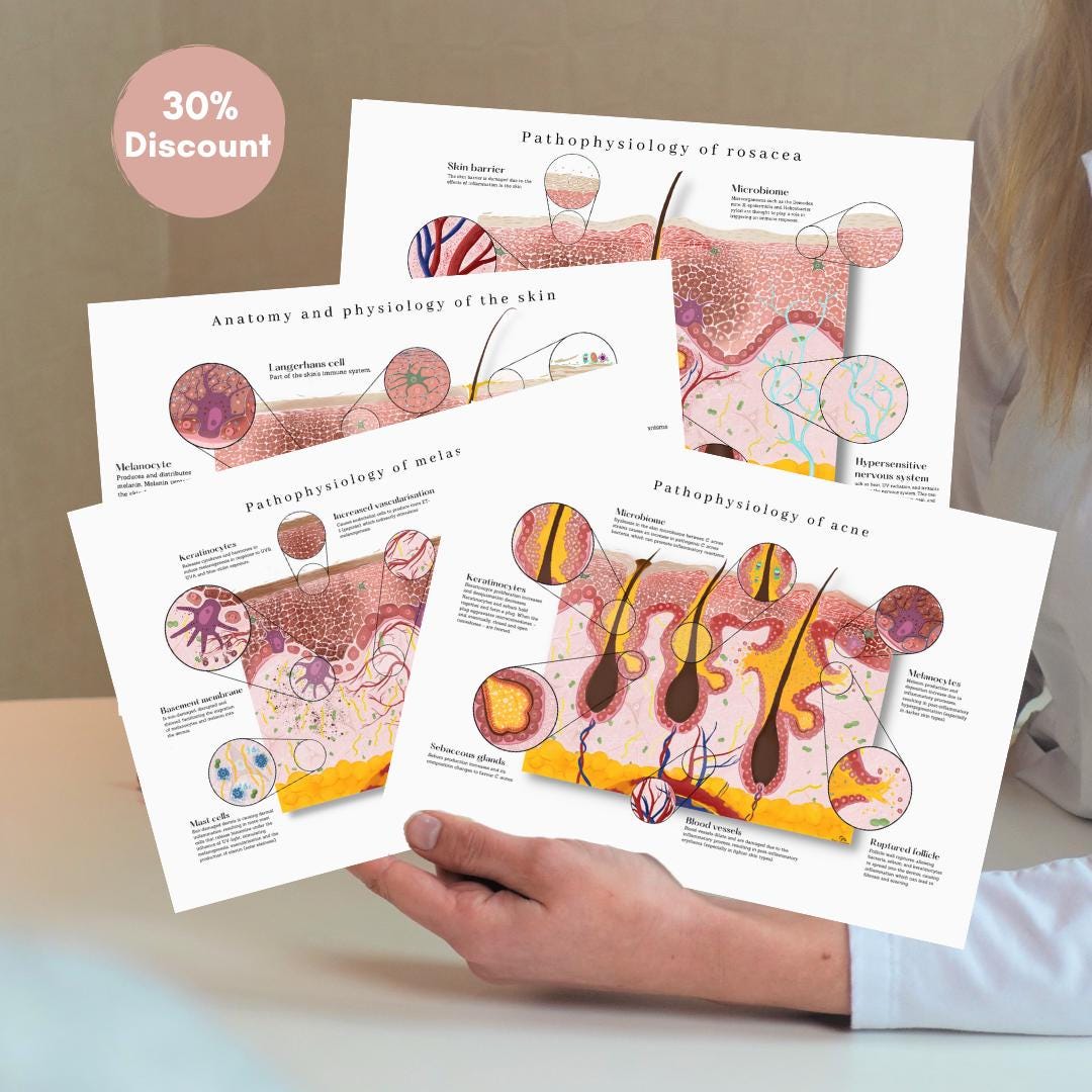 Package: Huid Anatomie, Melasma, Acne and Rosacea, Skin Anatomy, Skin ...