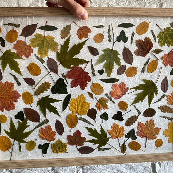 Pressed Leaves - Etsy