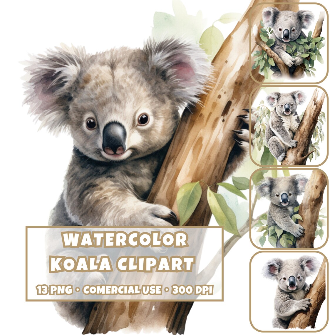 Cute Koala Clipart Watercolor Clipart Cute Koala Bear Clipart - Etsy