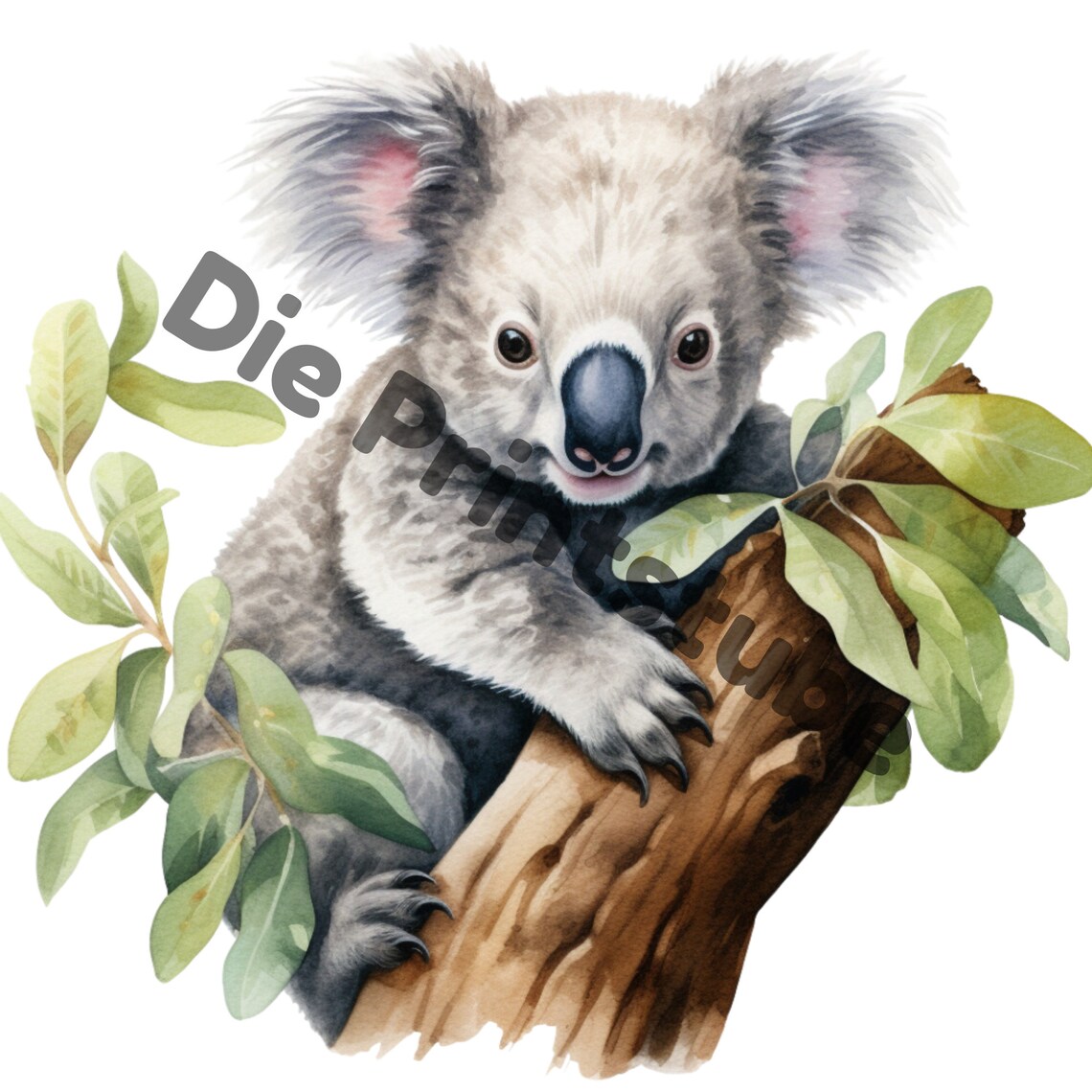 Cute Koala Clipart Watercolor Clipart Cute Koala Bear Clipart - Etsy