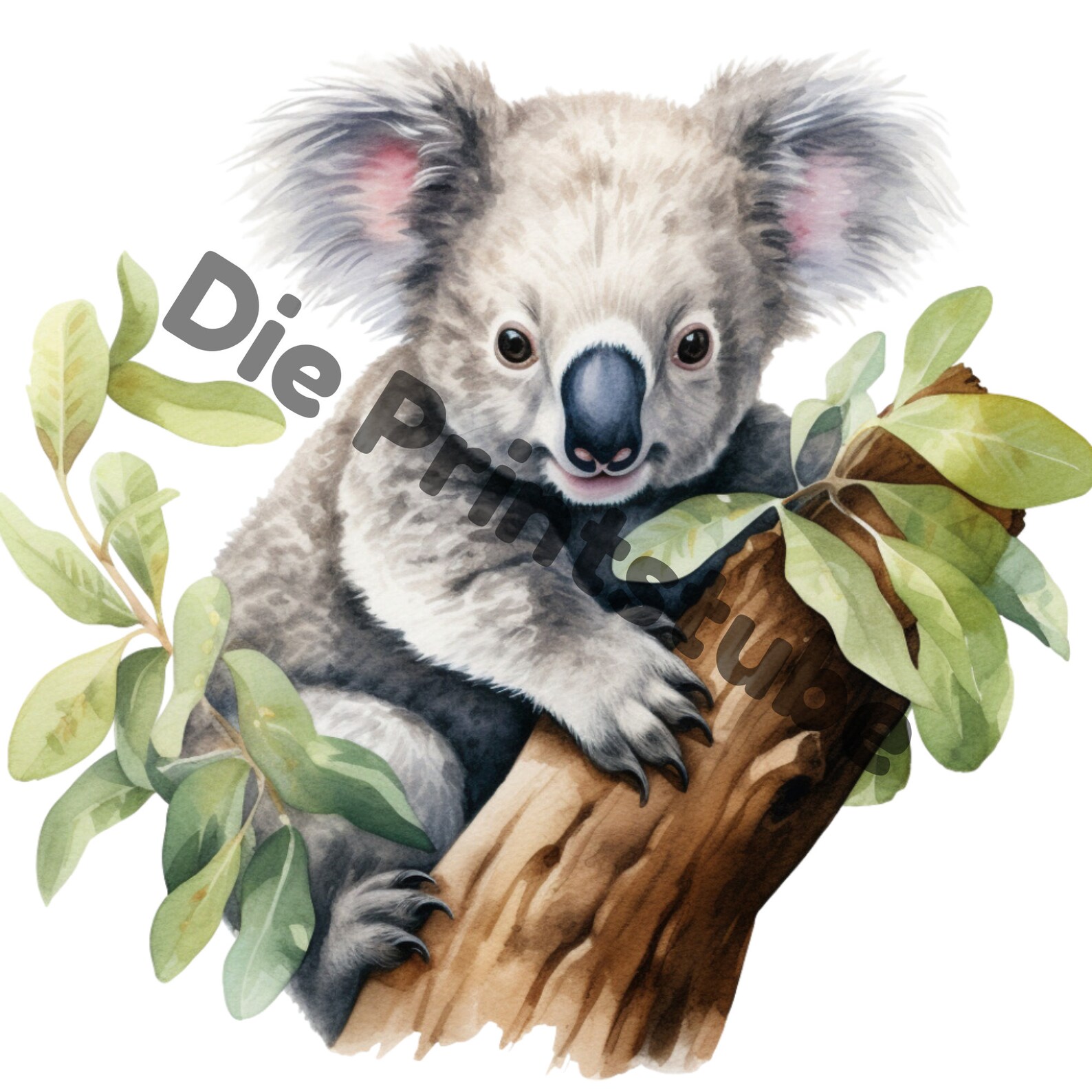 Cute Koala Clipart Watercolor Clipart Cute Koala Bear Clipart - Etsy