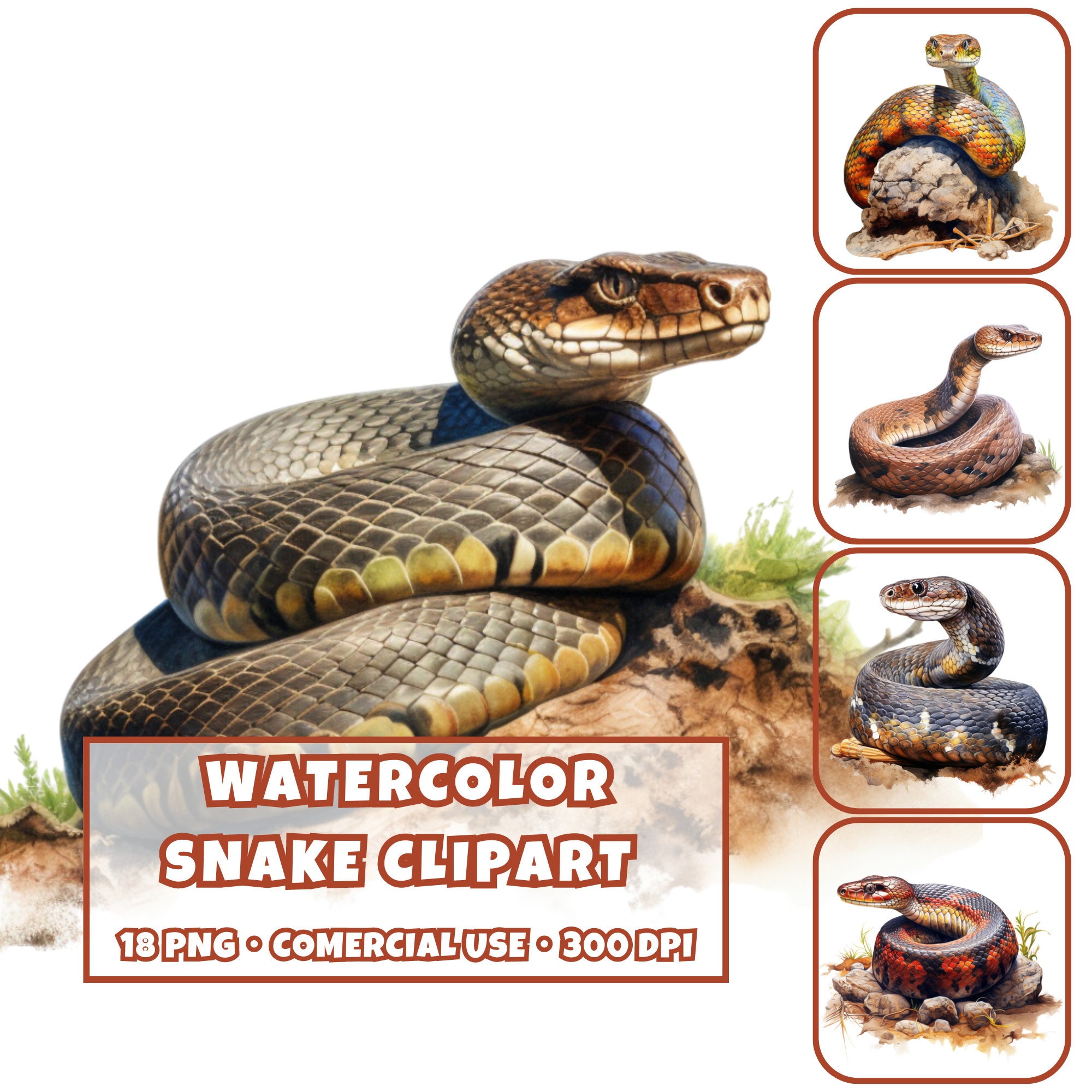 Diamondback Rattlesnake Clipart