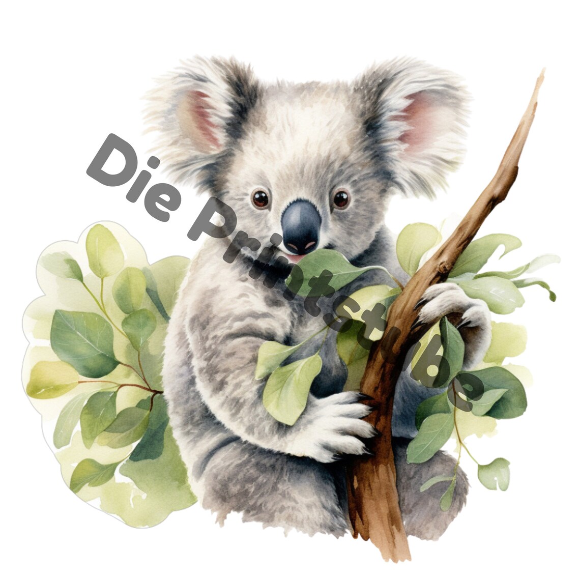 Cute Koala Clipart Watercolor Clipart Cute Koala Bear Clipart - Etsy