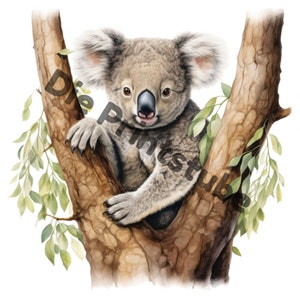 Cute Koala Clipart Watercolor Clipart Cute Koala Bear Clipart - Etsy