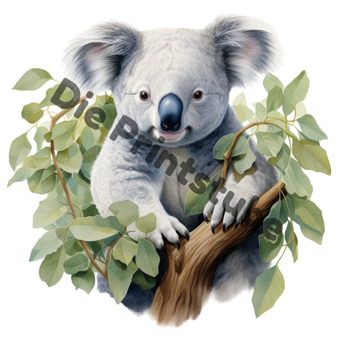 Cute Koala Clipart Watercolor Clipart Cute Koala Bear Clipart - Etsy