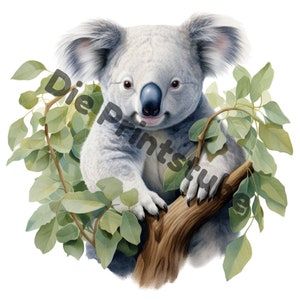 Cute Koala Clipart Watercolor Clipart Cute Koala Bear Clipart - Etsy