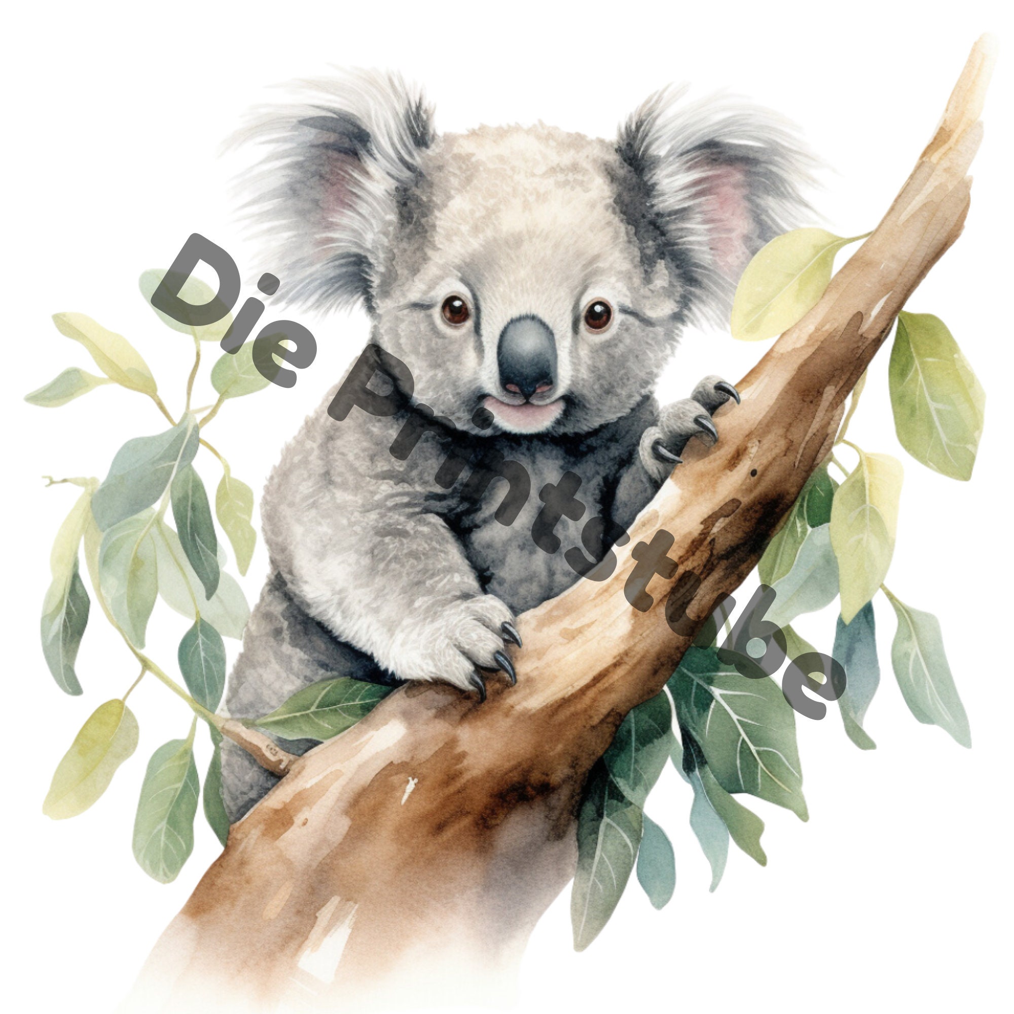 Cute Koala Clipart Watercolor Clipart Cute Koala Bear Clipart ...