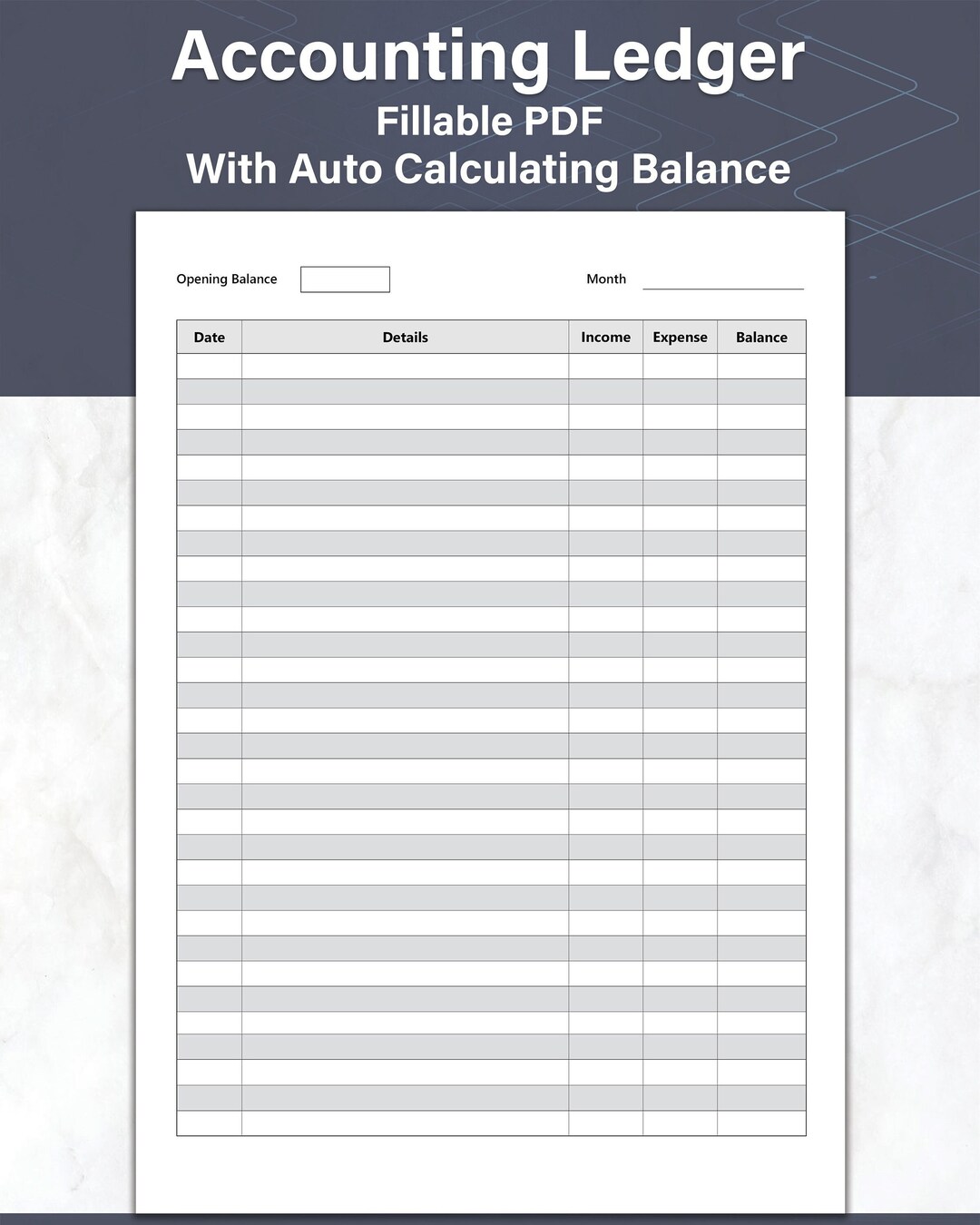 Accounting Ledger, Fillable and Printable Ledger, Money Tracker, Ideal ...
