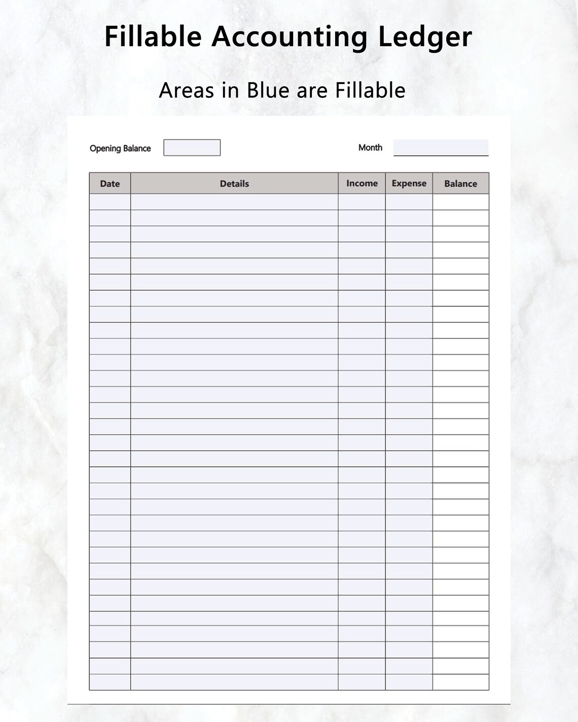 Accounting Ledger, Fillable and Printable Ledger, Money Tracker, Ideal ...
