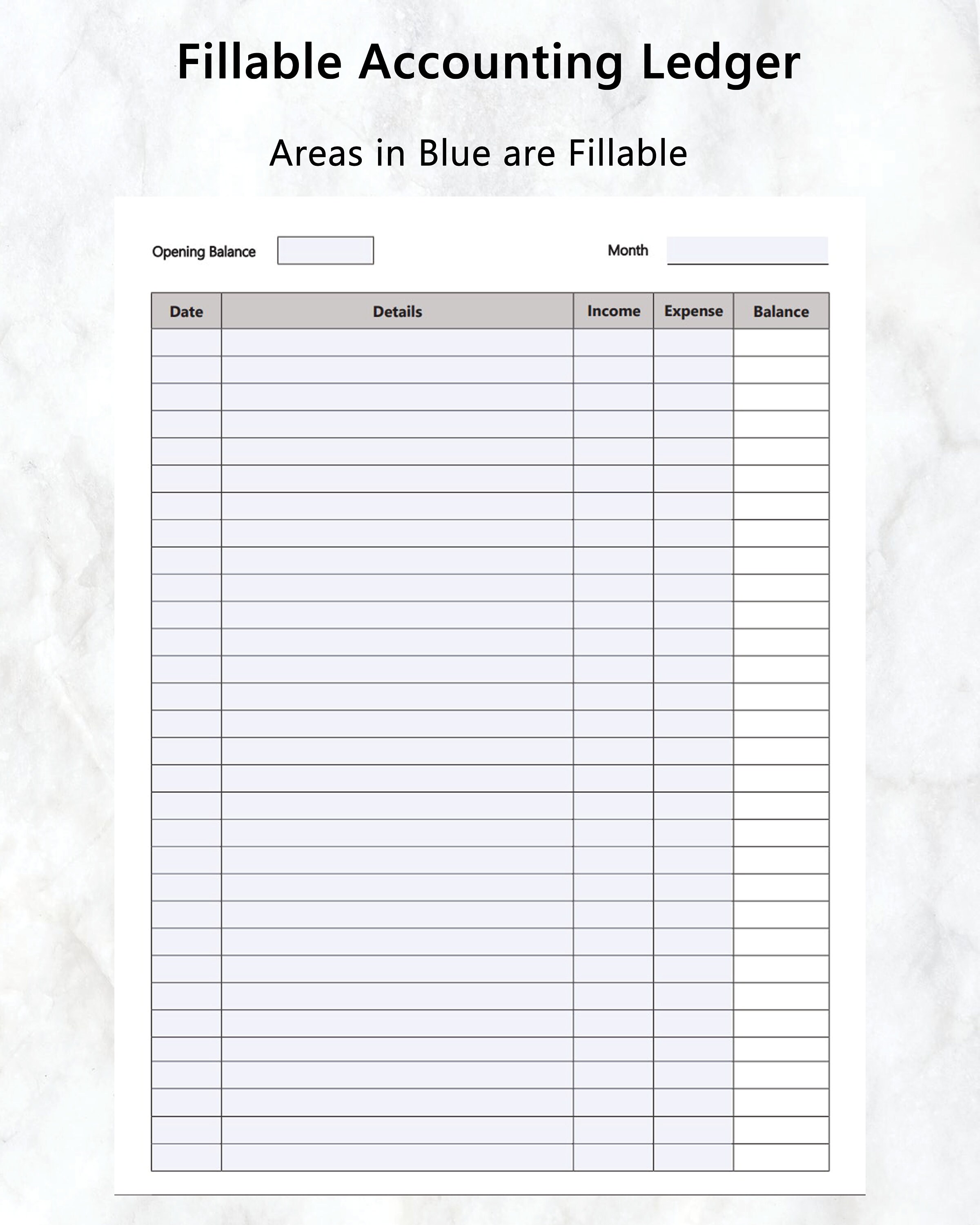Accounting Ledger, Fillable and Printable Ledger, Money Tracker, Ideal ...
