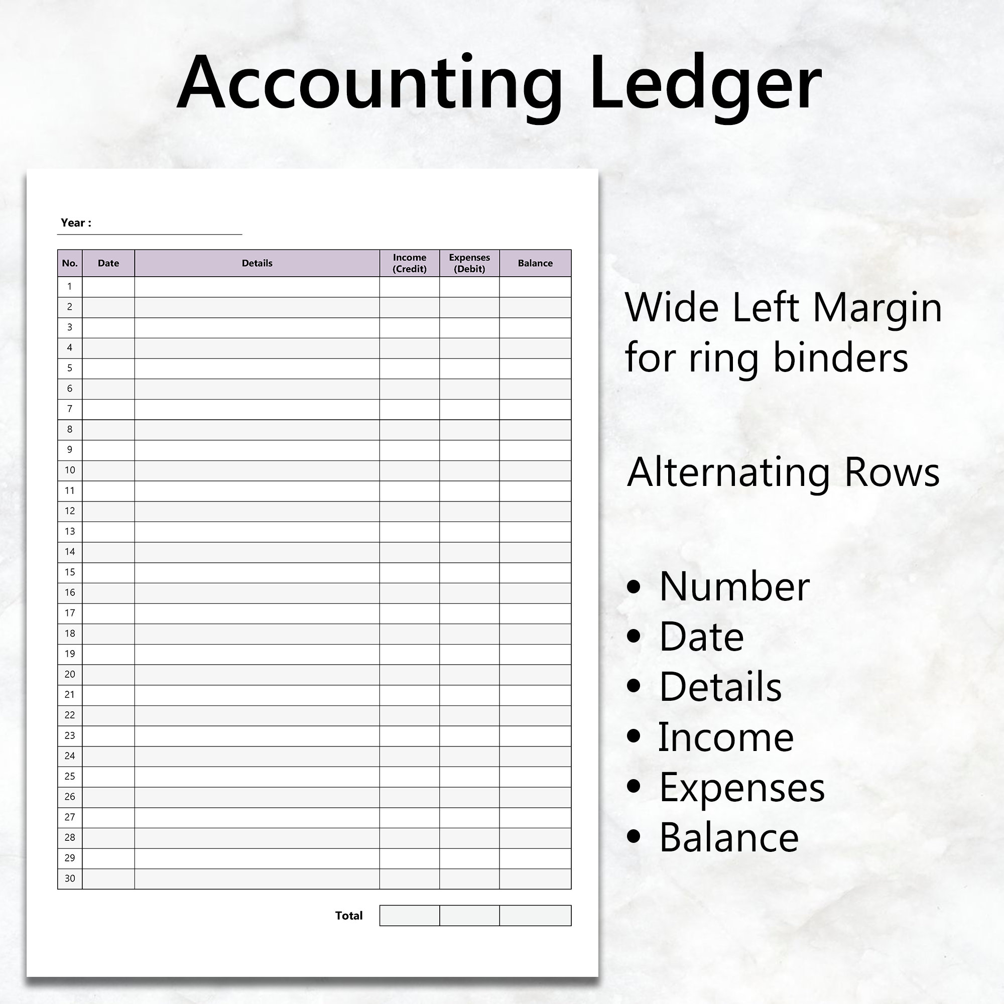 Printable Accounting Ledger Sheets and Money Tracker, Ideal General Ledger for Your Small ...