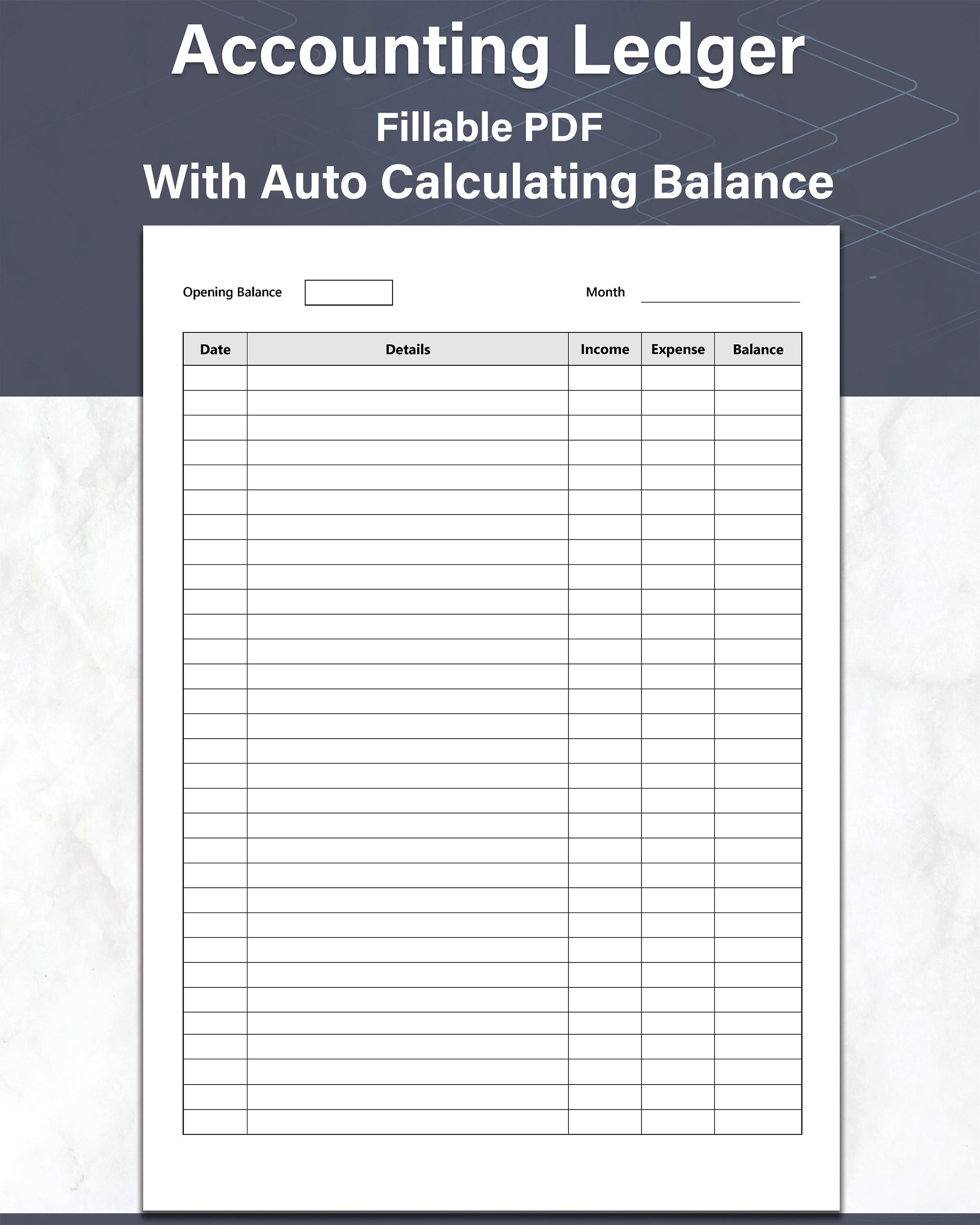 Accounting Ledger, Fillable and Printable Ledger, Money Tracker, Ideal ...