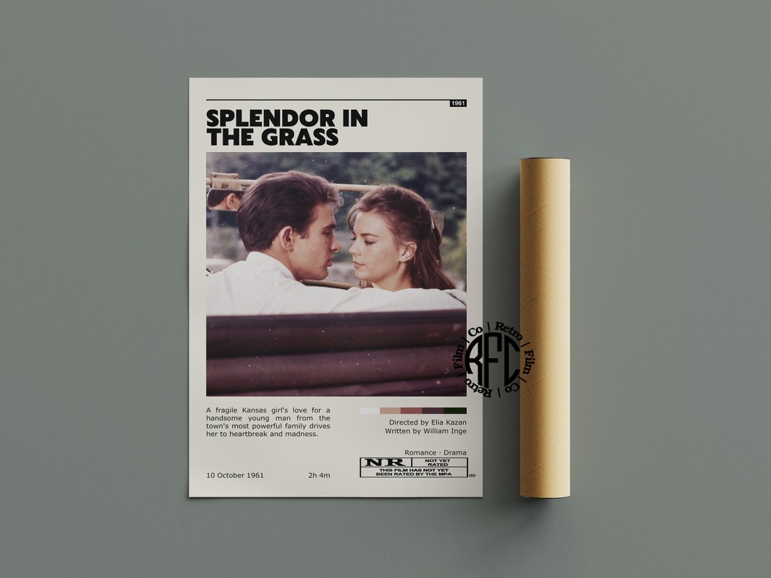 Splendor in the Grass Retro Movie Poster Print Minimalist Movie Poster ...
