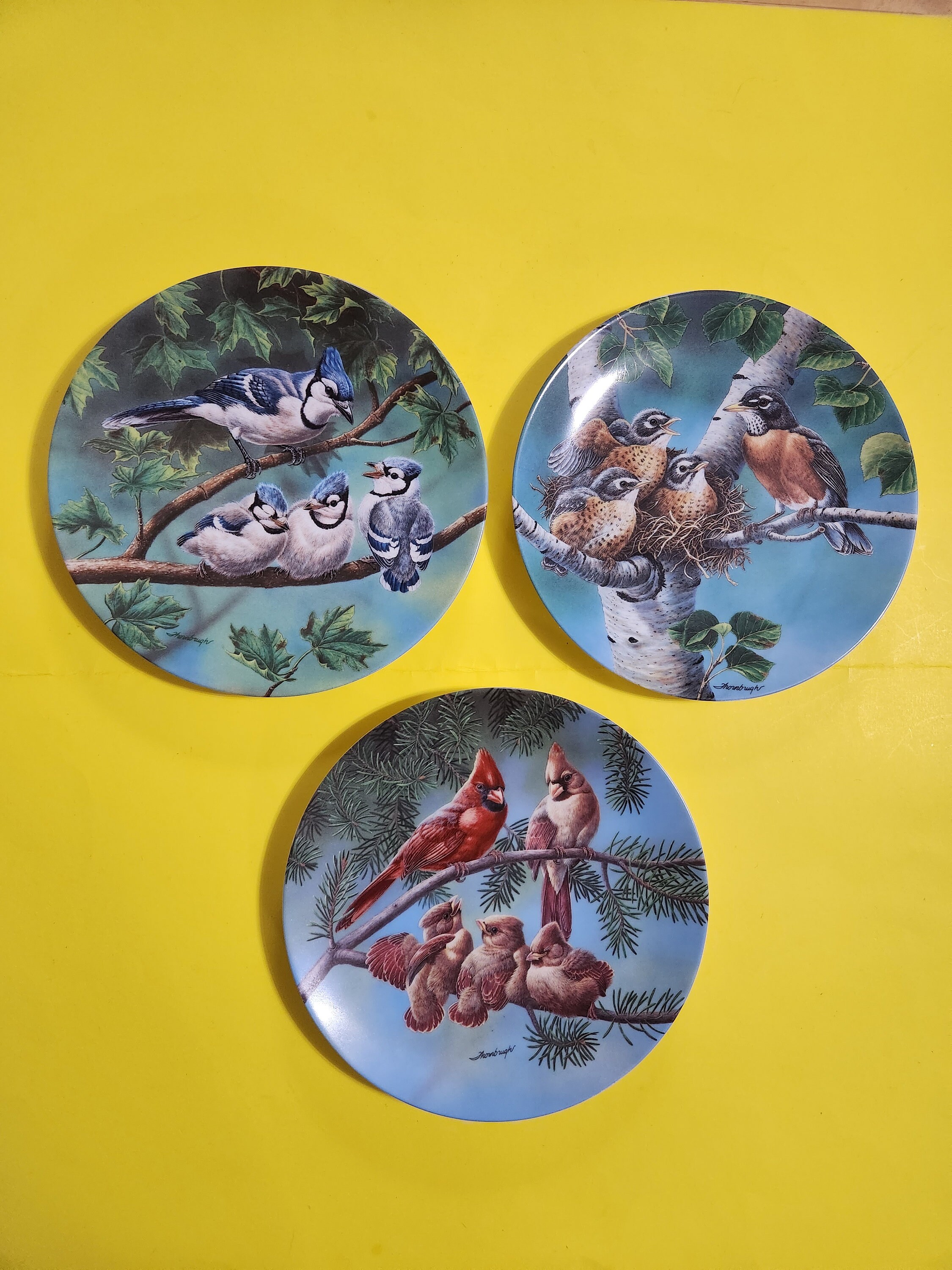 Various Bird Plates by Artist Joe Thornbrugh, Signed, 1990's **free ...