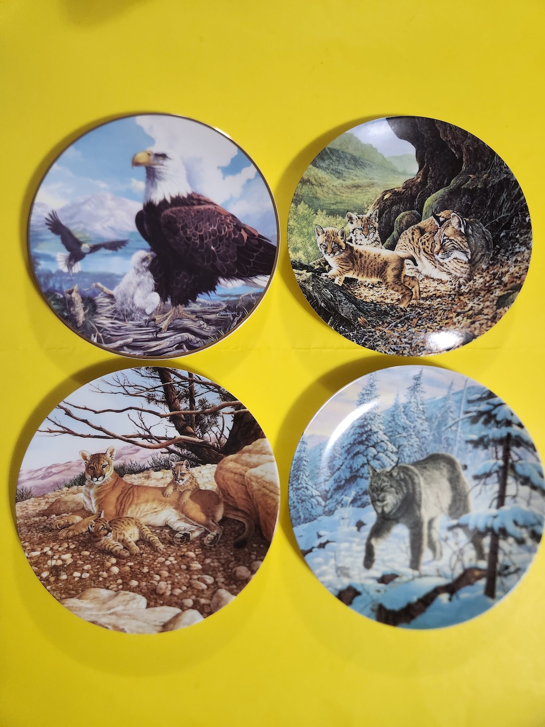 Various Wildlife Plates (american Eagle, Bobcat, Cougar and Lynx), Made ...