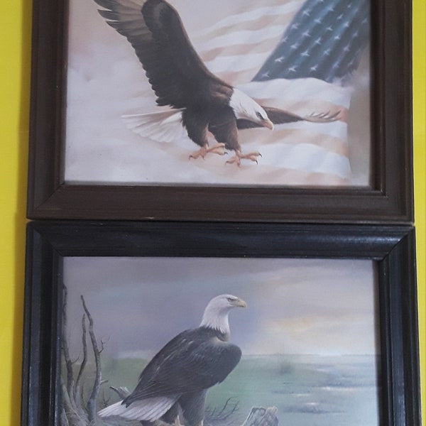 Eagle Picture - Etsy