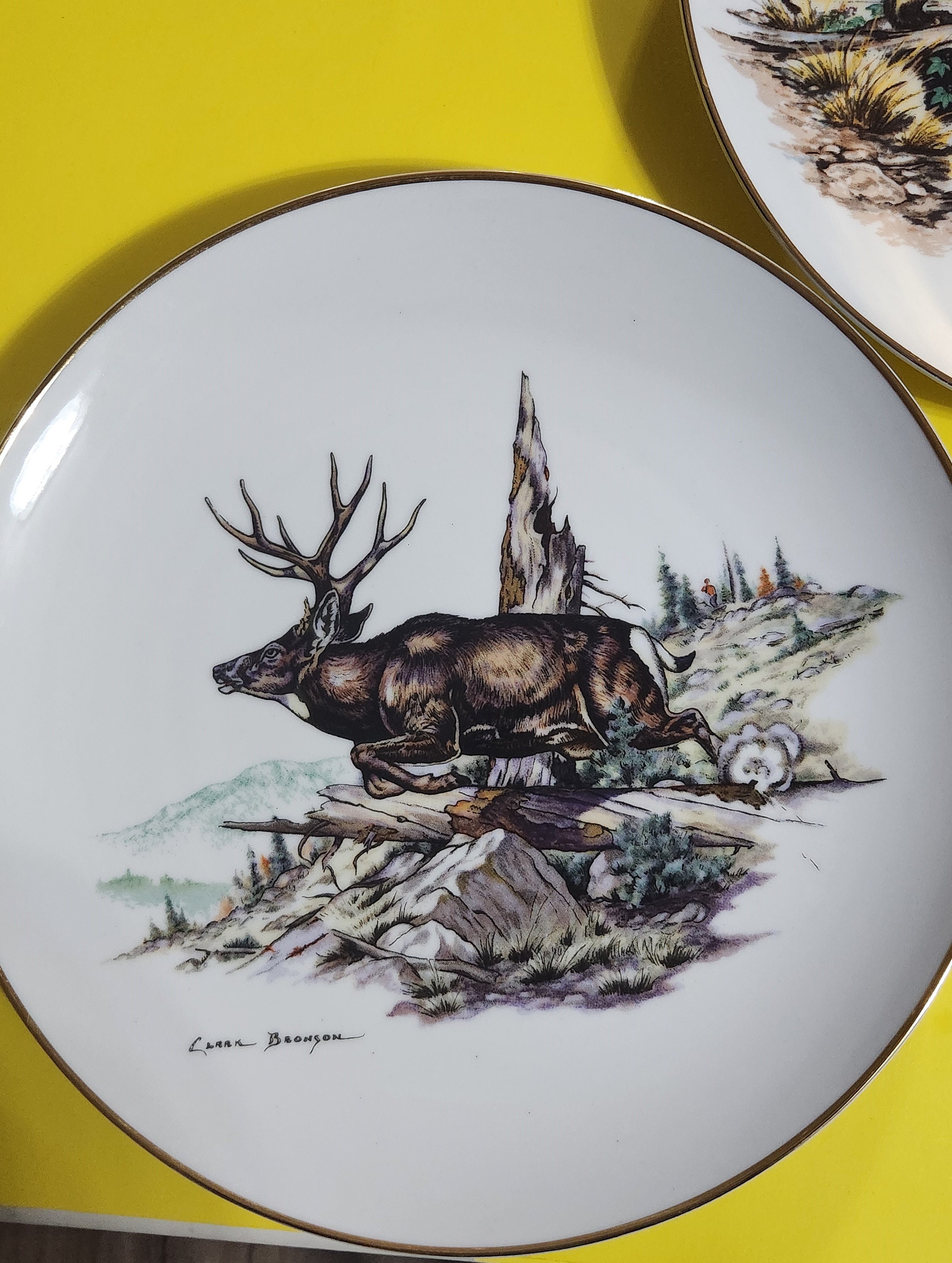 Clark Bronson Limited Edition Porcelain Wildlife Plates, Made in Taiwan ...