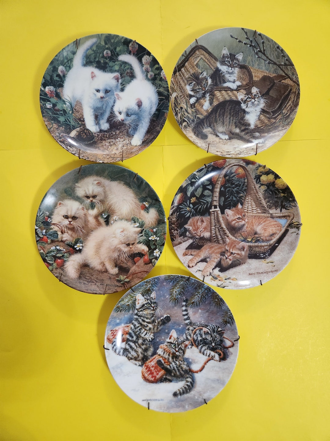 Amy Brackenbury Cat Tales Collection, Full Collection is Available ...