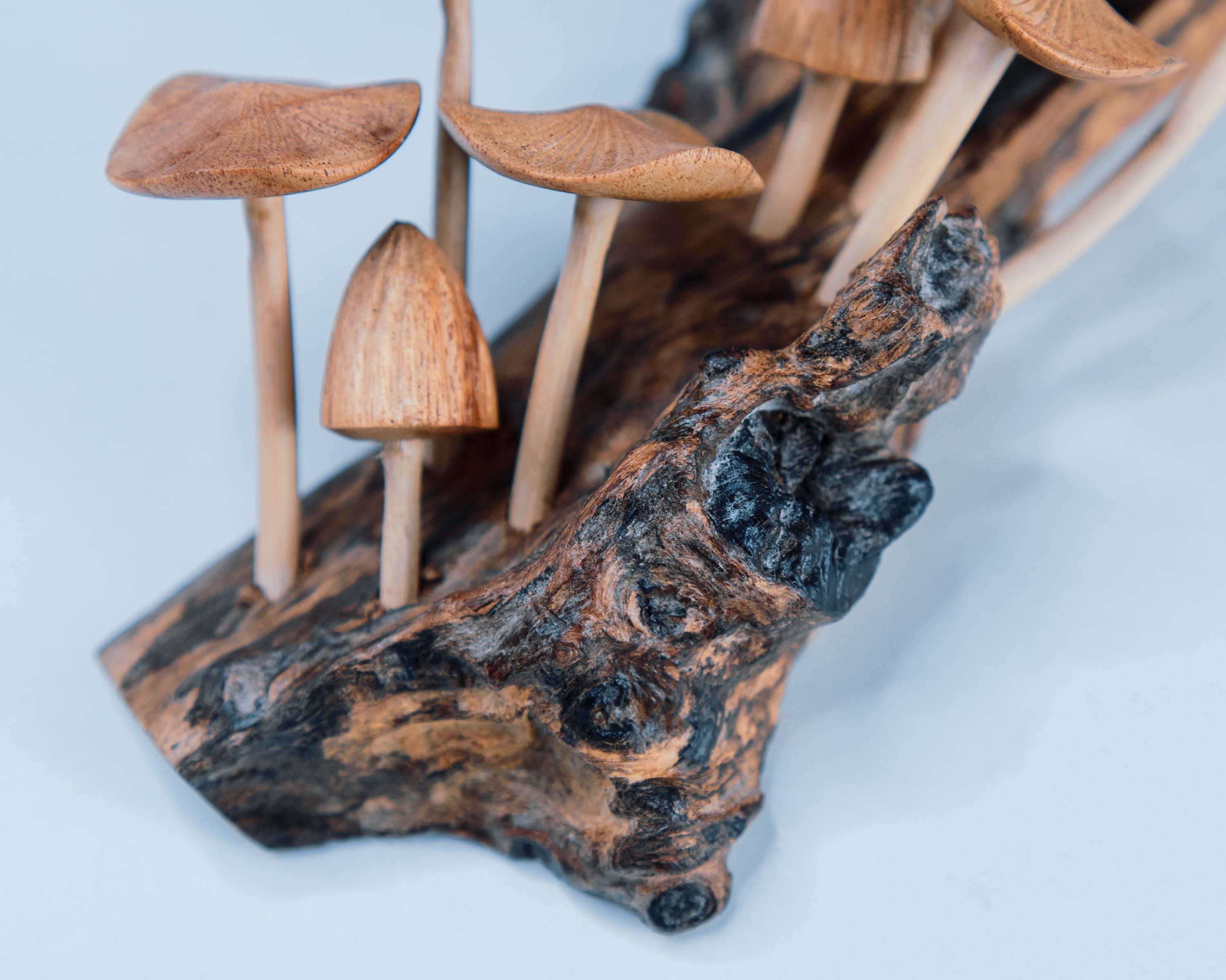 Mushroom Wall Decor | Rustic Fungi Art | Handmade Wooden Wall Hanging ...