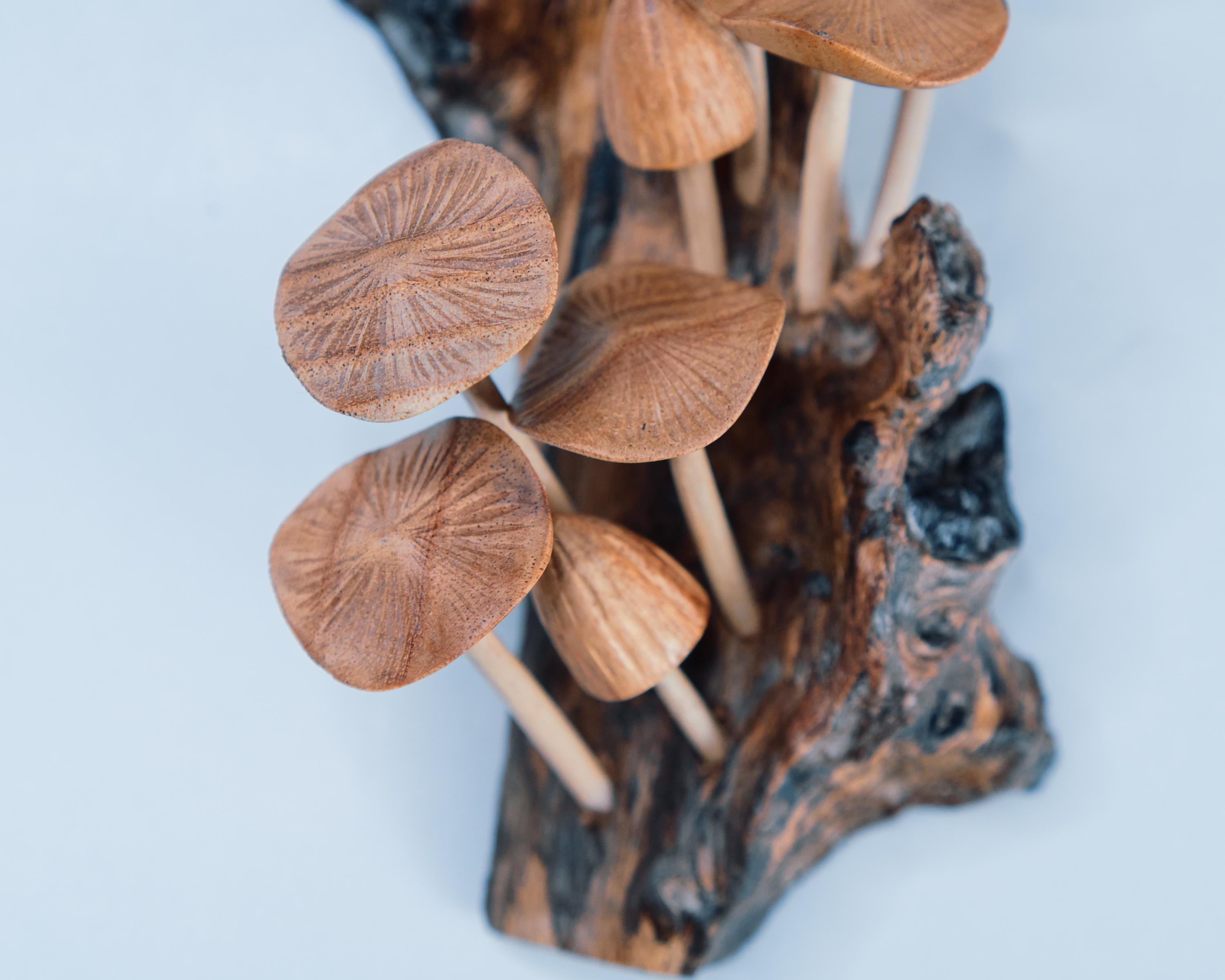 Mushroom Wall Decor | Rustic Fungi Art | Handmade Wooden Wall Hanging ...