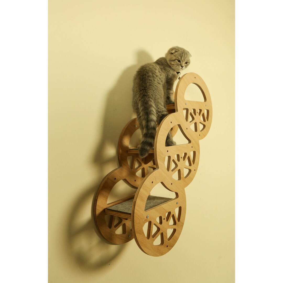 Circle Wooden Cat Wall Ladder 3 Pcs Mounted Bubble Pet Shelf - Etsy