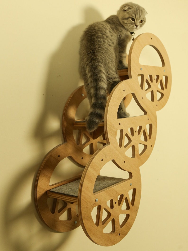 Circle Wooden Cat Wall Ladder 3 Pcs Mounted Bubble Pet Shelf - Etsy
