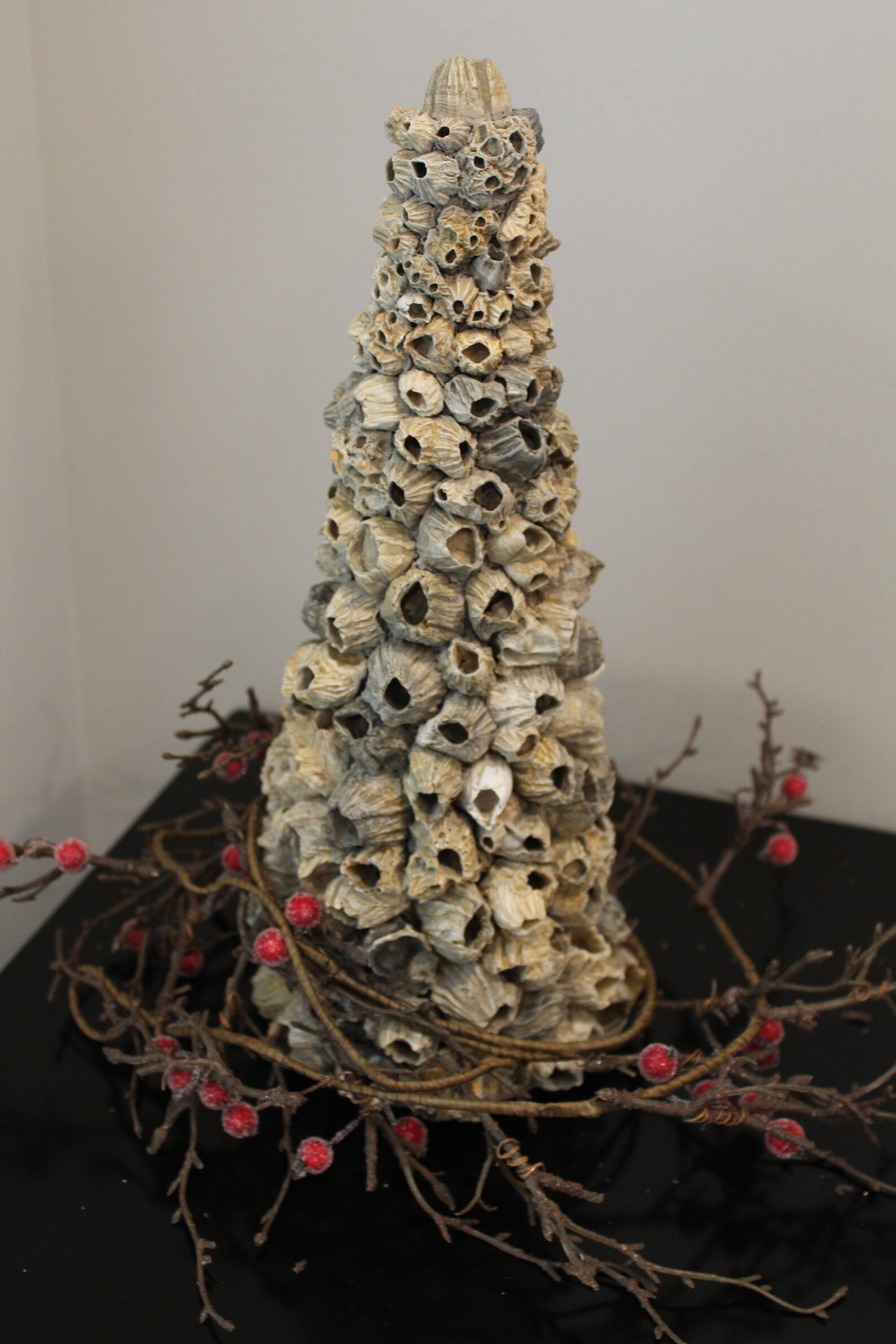 Nautical Handmade Home Decor, 100% Real Barnacles - Etsy