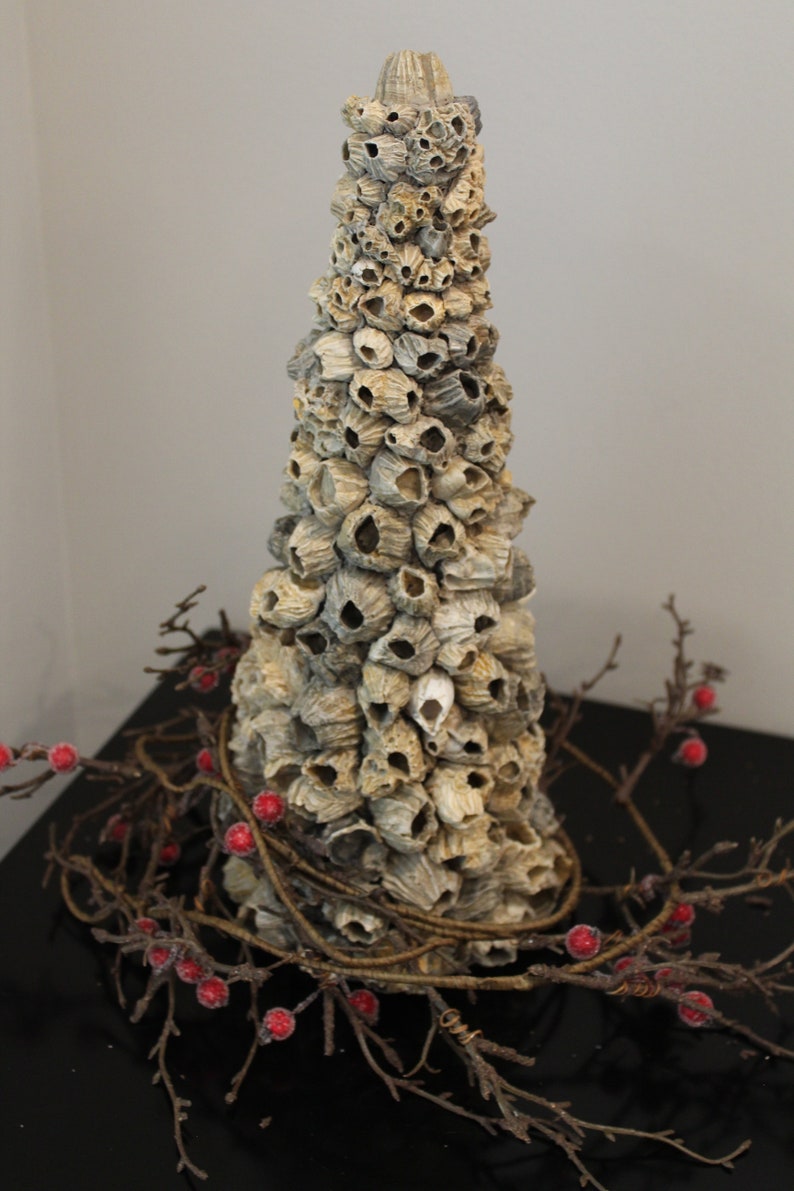 Nautical Handmade Home Decor, 100% Real Barnacles - Etsy