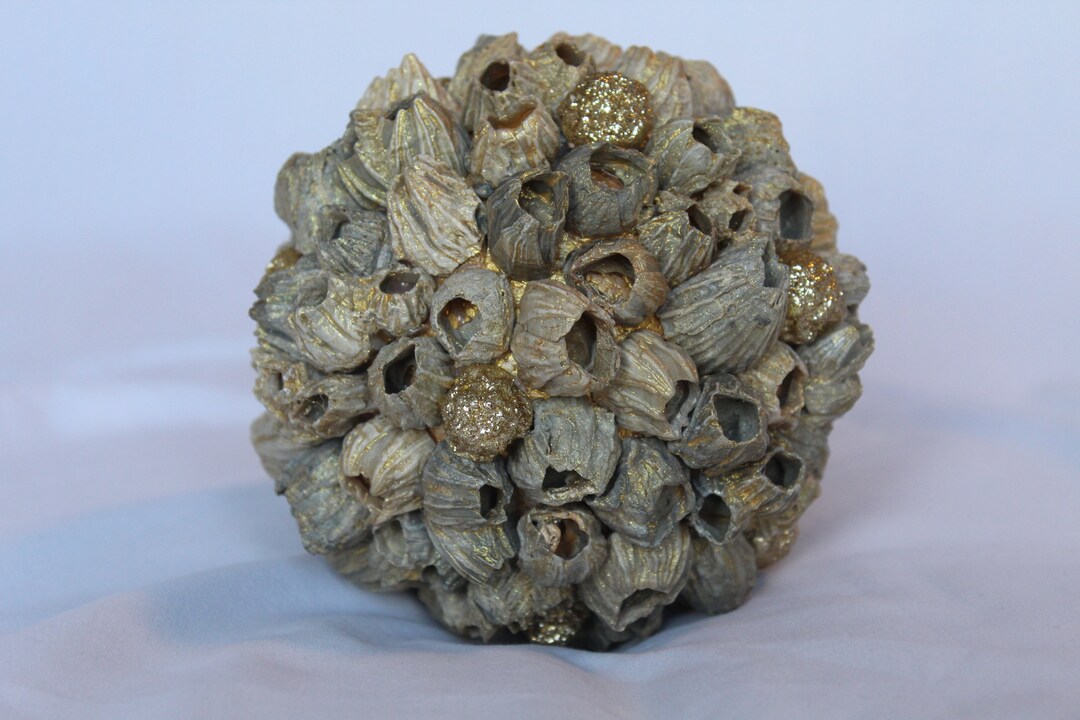 Nautical Decor ,barnacle Ball With Gold Shimmer Accents - Etsy