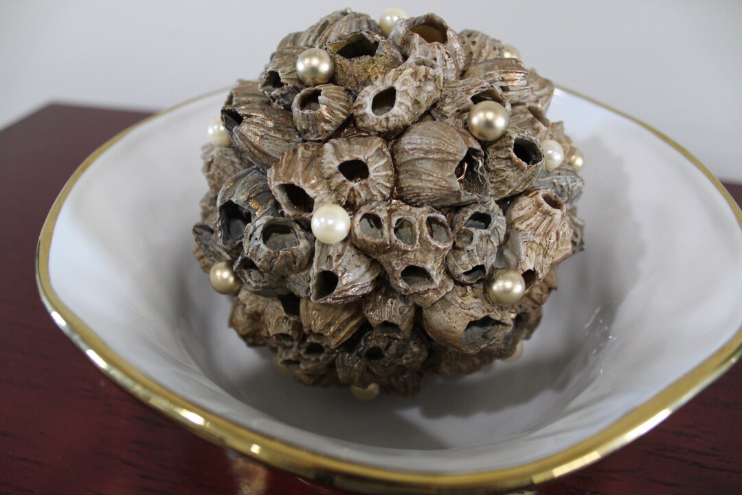 Nautical, Home Decor, Barnacle Ball - Etsy