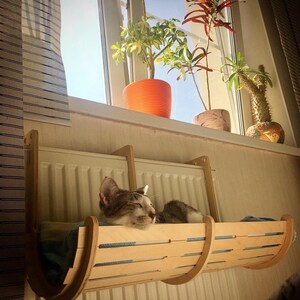 Laser Cut Wall Mounted Cat Bed Vector SVG, DXF and CDR File Download ...