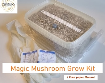 Magic Mushroom Grow Kit - Etsy