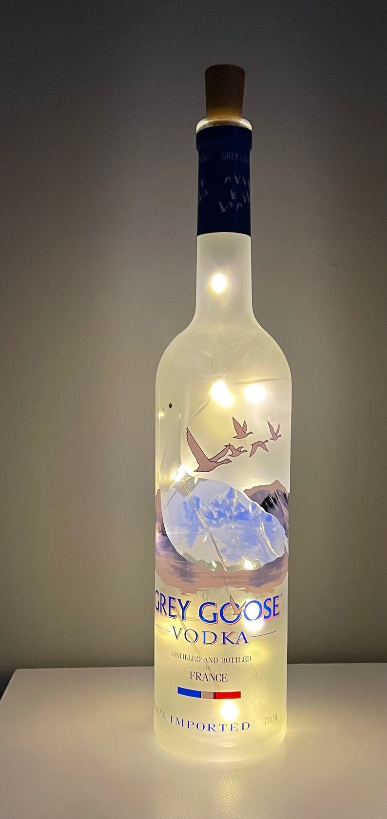 Grey Goose; Lighted Bottle, Bar Decoration; Recycled Bottle; Vodka ...