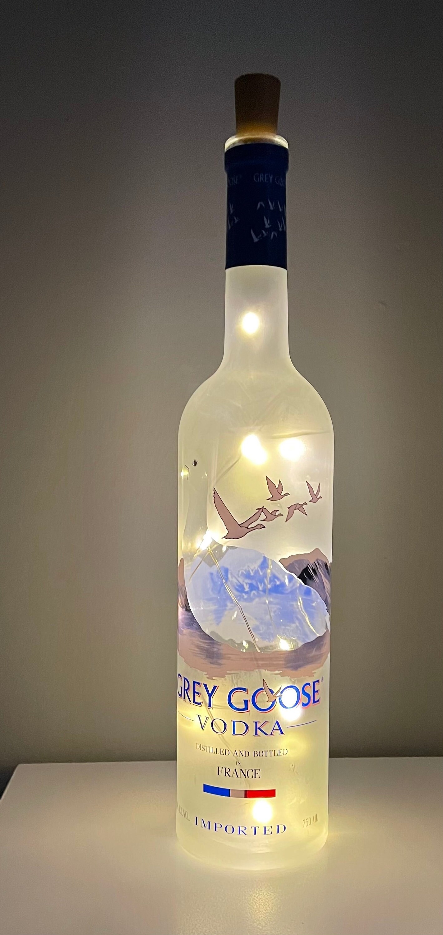 Grey Goose; Lighted Bottle, Bar Decoration; Recycled Bottle; Vodka ...
