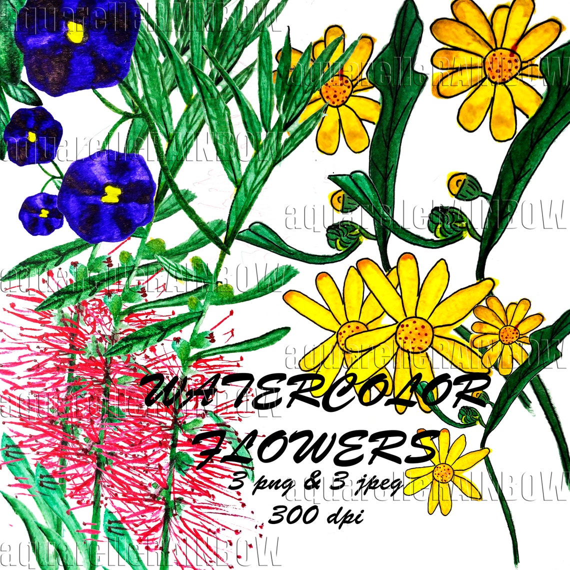 Watercolor Wildflowers CLIPART Flowers WILDFLOWERS Flower | Etsy
