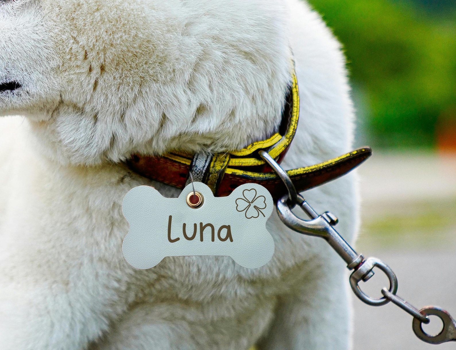 Custom Leather Pet Tag, Personalized Engraved Pet Name Tag, Custom Pet ...
