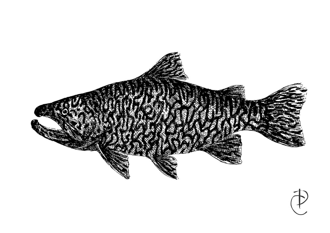 Leopard Trout Hand Drawing Black and White Fine Art Print A3 - Etsy